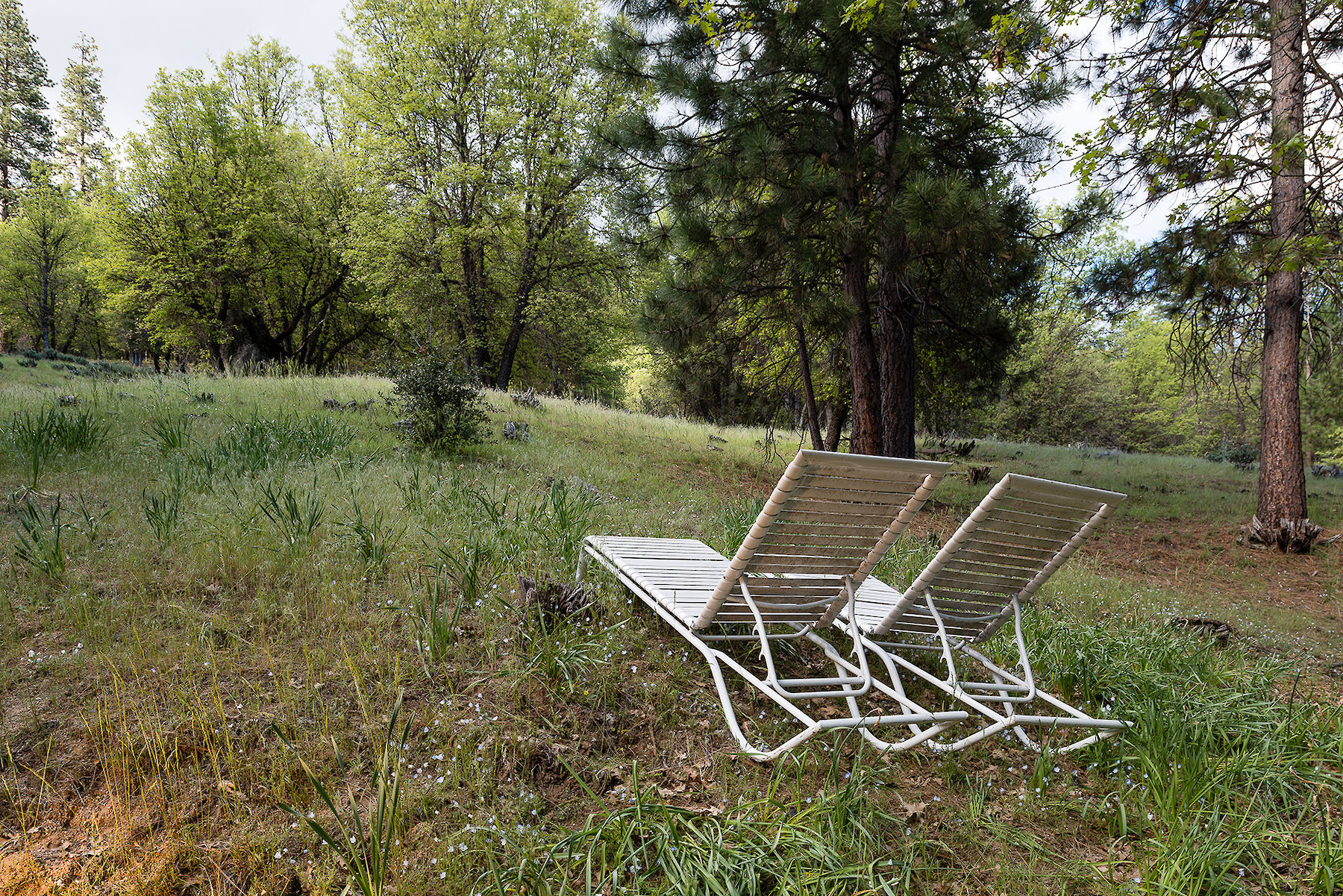 Cabin #99 — Klasse Fotografie Gabriele Rothemann